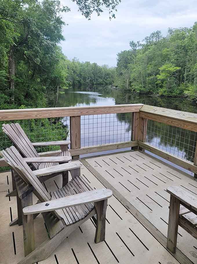 Adirondack chairs overlooking the Cashie River: where doing absolutely nothing becomes an Olympic-level achievement.
