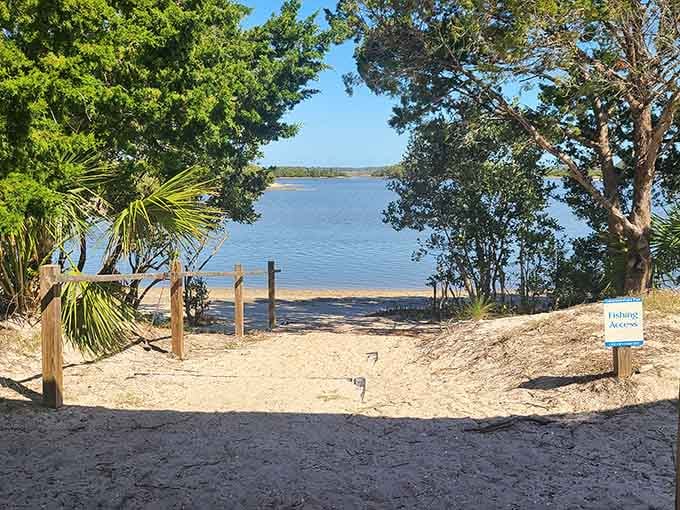 Cemetery Point Park offers serene water views that make you forget the mainland even exists anymore.