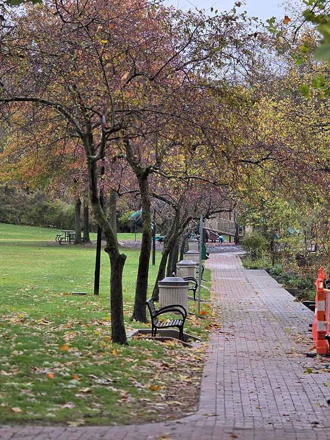 Riverside Park in autumn, where the falling leaves and quiet benches make every worry feel temporarily negotiable.