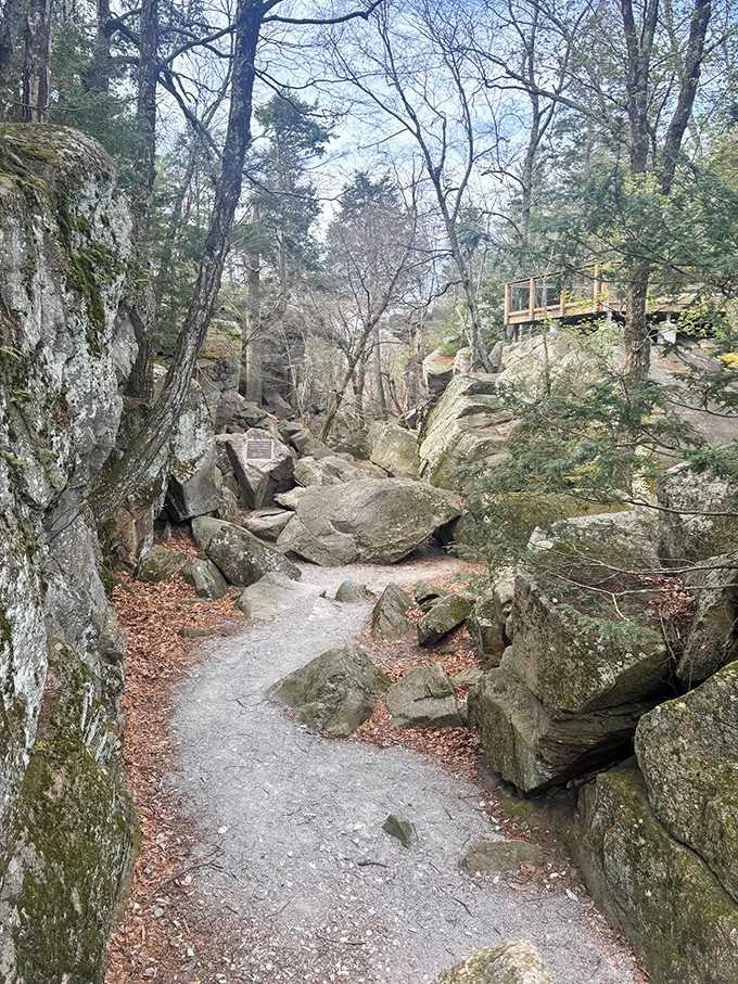The chasm floor is nature's obstacle course, and honestly, it's the most fun you'll have outdoors.