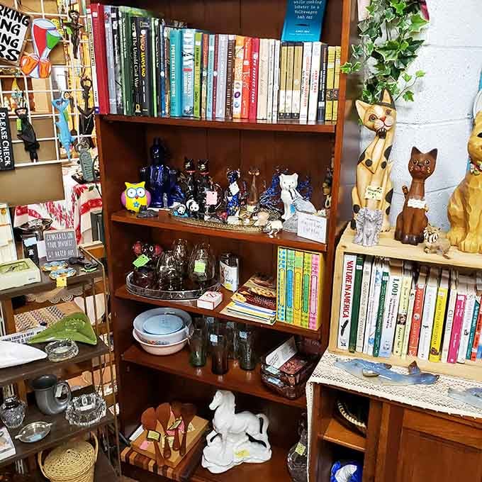 Books, ceramic owls, and a porcelain horse walk into a booth, and somehow it all makes sense.