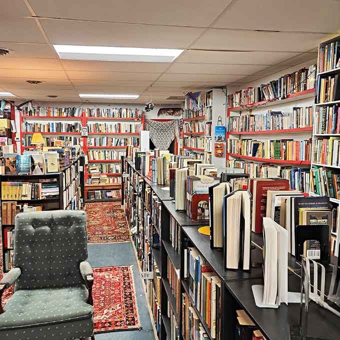 Floor-to-ceiling shelves packed with books prove that some treasures don't need Wi-Fi to be magical.