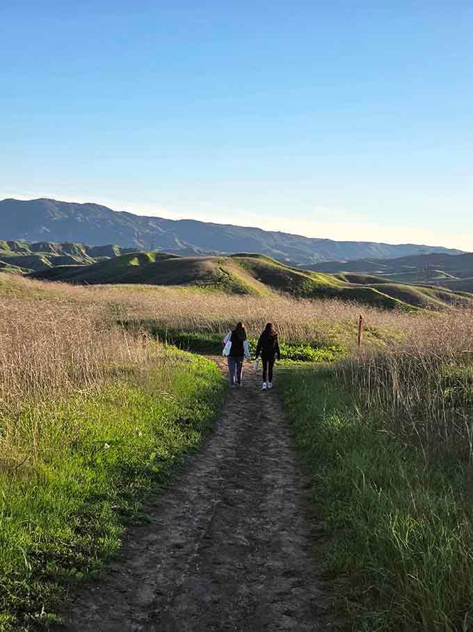 Two friends, one trail, and a view that makes every step feel like the best decision of the week.