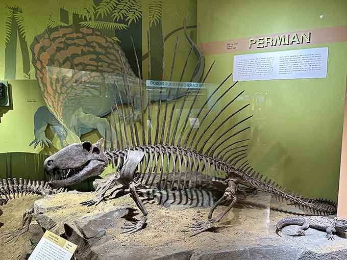 Meet Lucy, the three-and-a-half-foot relative who started the whole family tree and somehow still commands the room.