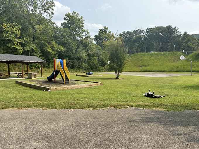 Green grass, a playground, and room to breathe. Booker T. Washington Park reminds you what a real backyard looks like.