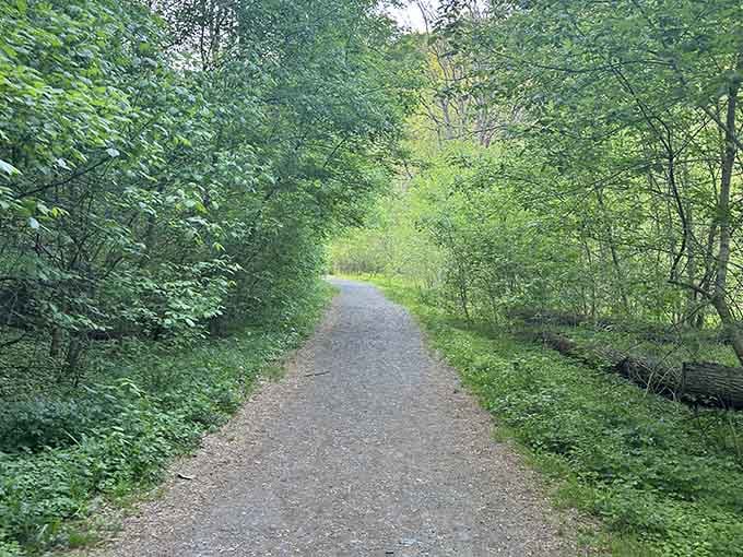 A gravel path cuts through lush greenery, practically rolling out the welcome mat for curious hikers.