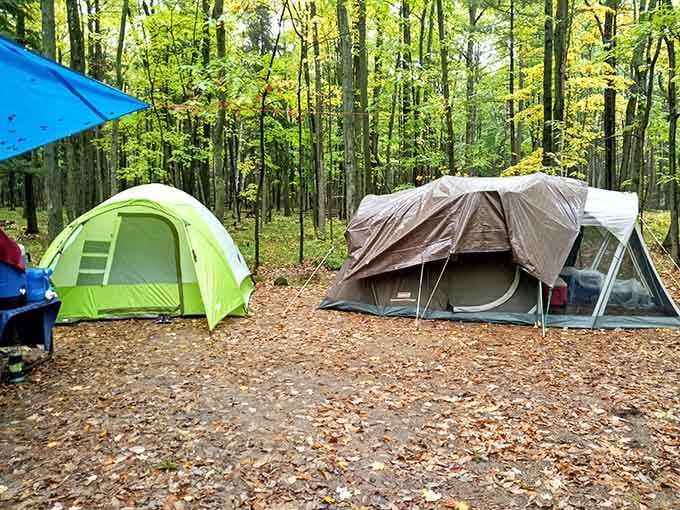 Camping here means actual comfort, not just pretending you enjoy sleeping on rocks and calling it character-building.