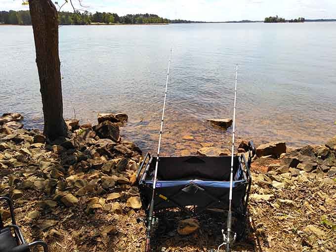 Set up your fishing rods by the rocky shore and get ready for a relaxing day casting lines into the calm lake.