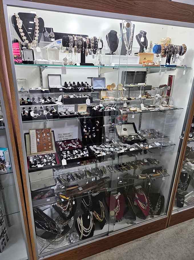 A glittering jewelry case filled with necklaces, rings, and watches that deserve a second look.