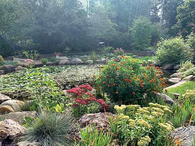 Orange, red, and yellow blooms crowding the pond's edge like they all showed up to the same party.