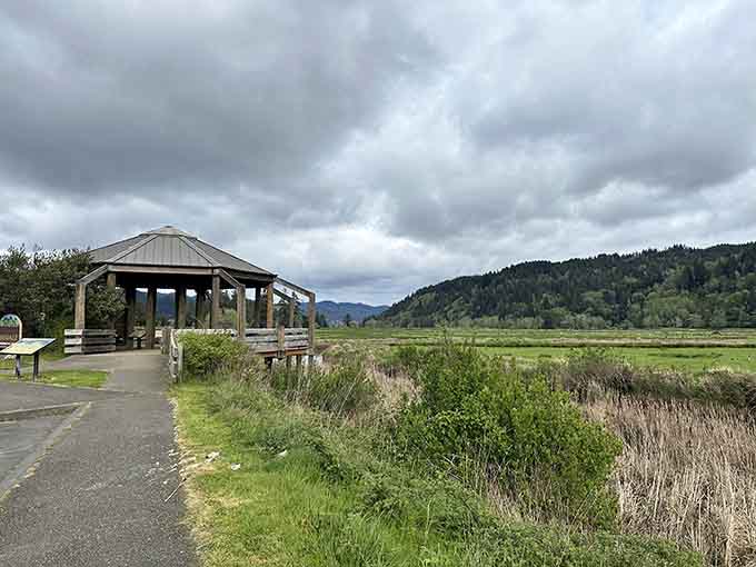 The wooden gazebo at Dean Creek is your front-row seat to one of Oregon's greatest free shows.