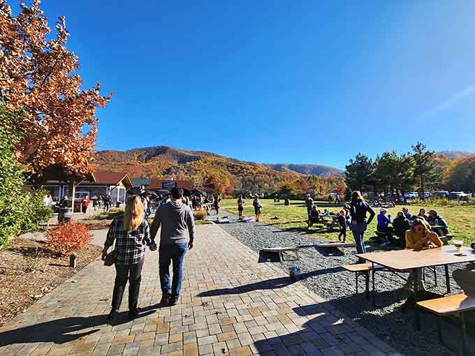 Fall foliage, blue skies, and cold craft beer in hand. Some combinations are just too good to argue with.