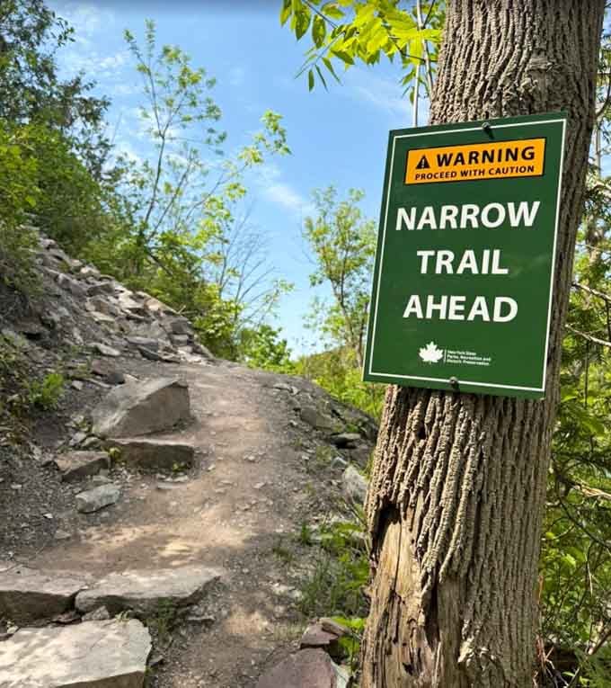 A "Narrow Trail Ahead" sign that somehow makes the whole adventure feel even more exciting than you expected.