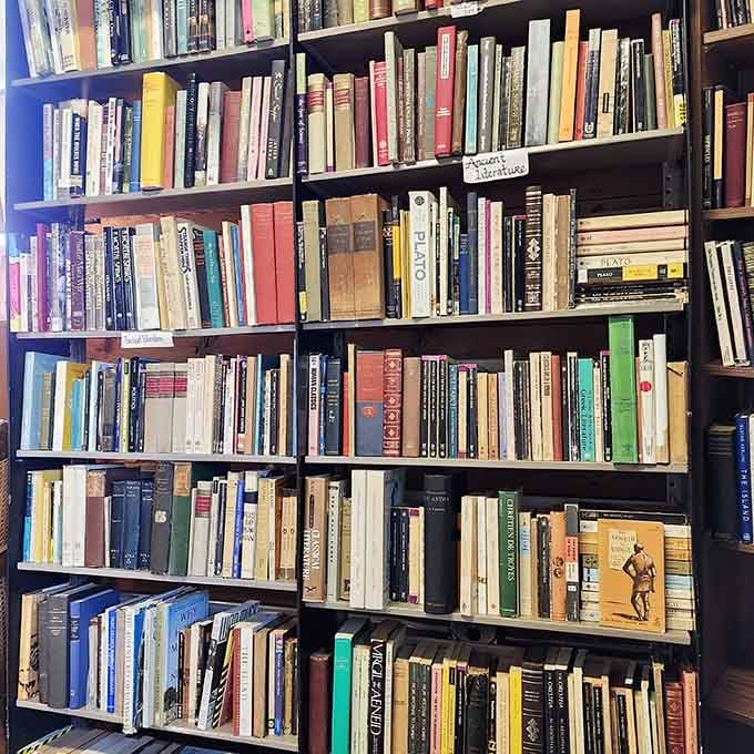 Plato, Virgil, and friends, all waiting quietly on these shelves, still relevant after a few thousand years.