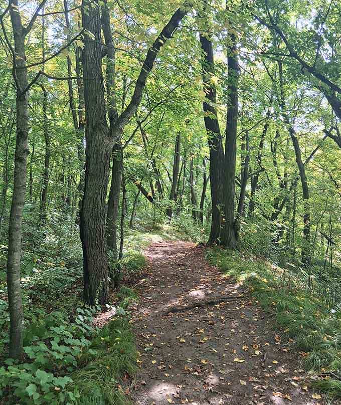 This wooded trail feels like a secret passage, the kind you'd find in a storybook set in Minnesota.