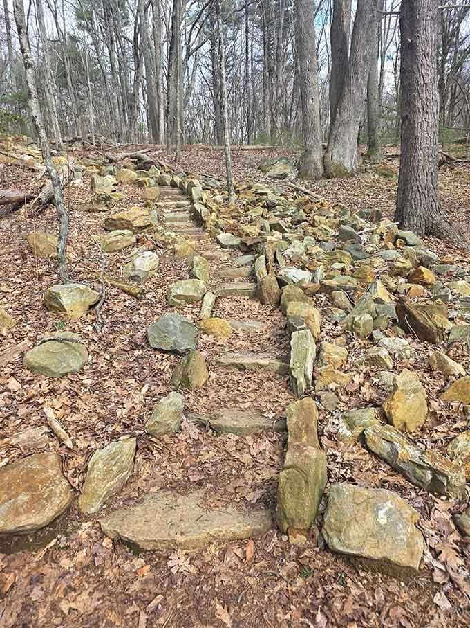 Stone steps that have seen more footsteps than your favorite diner's entrance, and they're still going strong.