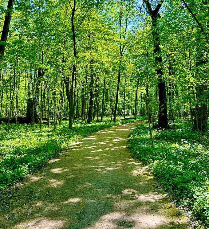 Spring transforms the forest floor into a green wonderland that would make even Dorothy reconsider leaving Kansas.