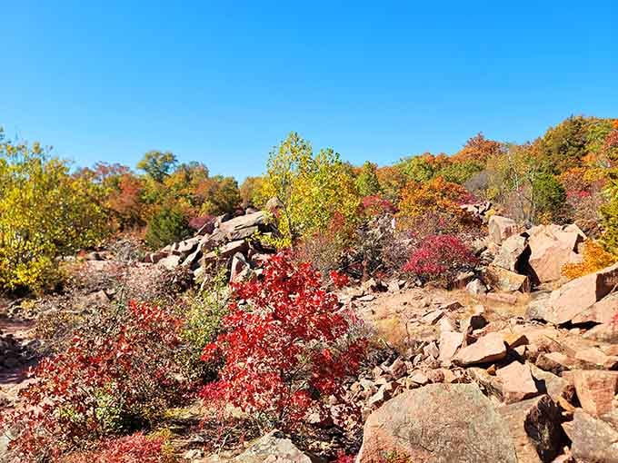 Autumn turns Elephant Rocks into a painting that no museum could ever afford to hang.