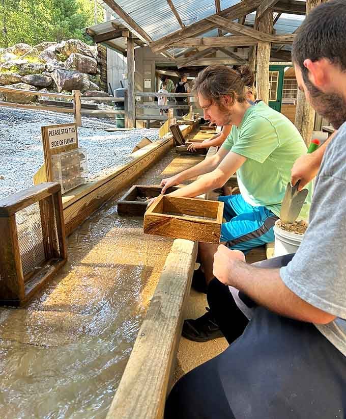 Focused, determined, and completely hooked. The sluice flume does that to people every single time.