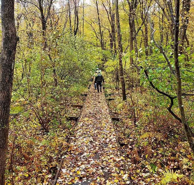 A leaf-covered boardwalk through autumn forest, because Farny knows how to dress for the season better than most of us.