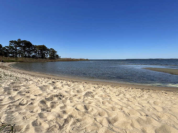 Clean sand, calm water, and zero crowds. Someone forgot to put this beach on the tourist map, and we're grateful.