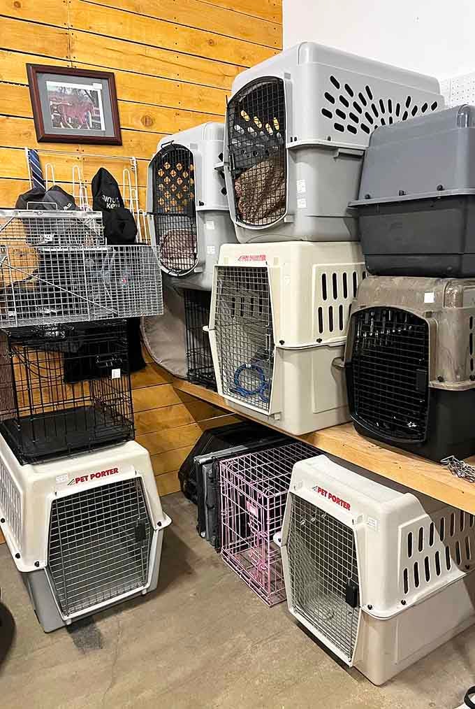 Pet carriers stacked like a puzzle, proving that even the most practical items find their way into this treasure trove.