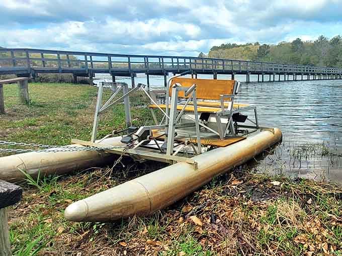A pedal pontoon boat sitting lakeside is basically Alabama's version of a first-class ticket, no upgrades needed.