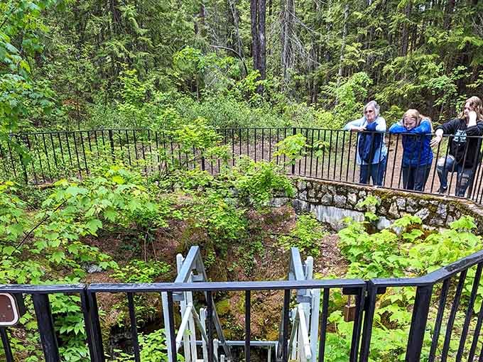 Even the visitors can't help leaning in, because some things are just too incredible to stand upright for.