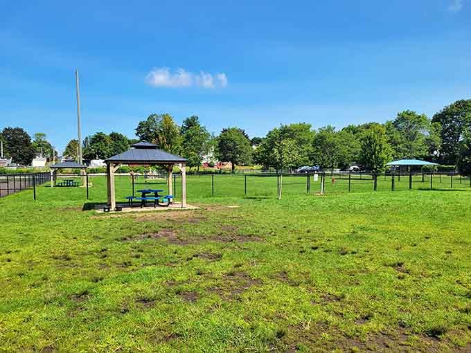 Green grass, open sky, and happy dogs. Pulaski Park proves Gardner knows how to keep everyone smiling.
