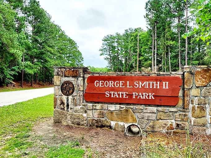 The sign says it all, and the trees behind it are already making promises the park will absolutely keep.