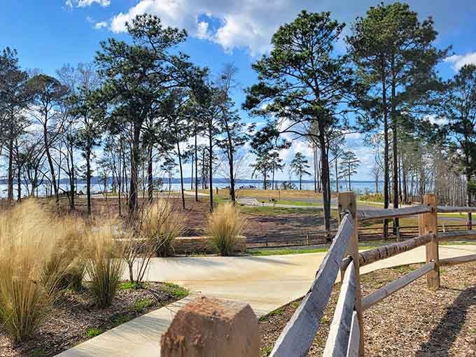 That paved path through the pines isn't just a walkway, it's a gentle invitation to slow down and breathe.