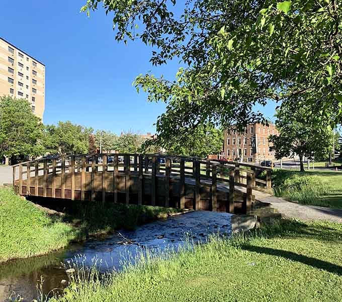 A charming footbridge arches over gentle waters, inviting leisurely strolls that cost absolutely nothing but time.
