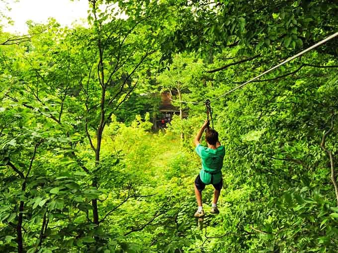 Gliding through a tunnel of green leaves, this is what freedom looks like on a Tuesday.