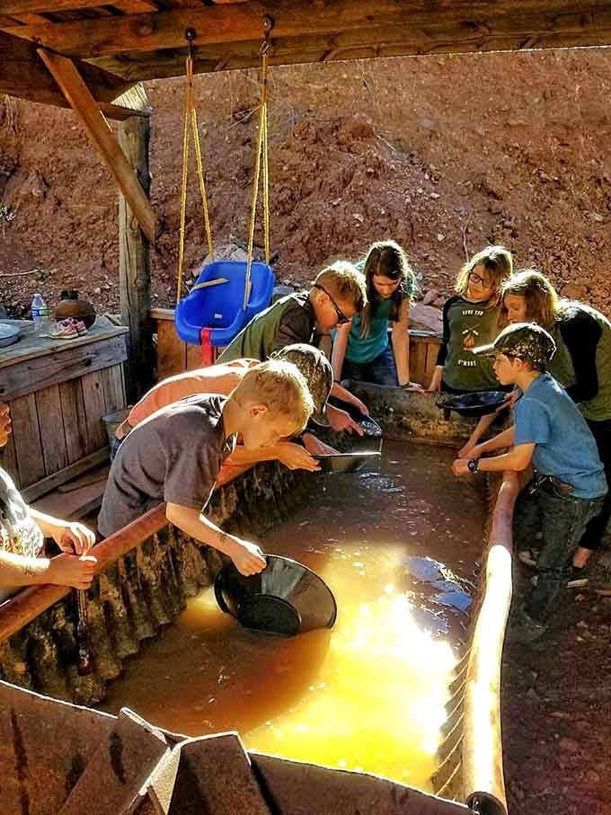 Nothing beats watching kids discover their first gold flakes, pure joy mixed with entrepreneurial scheming begins immediately.