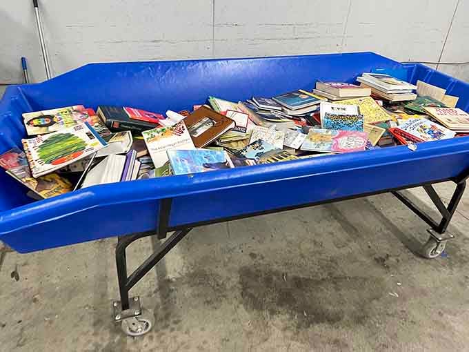 A whole bin of books tumbled together like a literary yard sale, and every single one costs just pennies per pound.