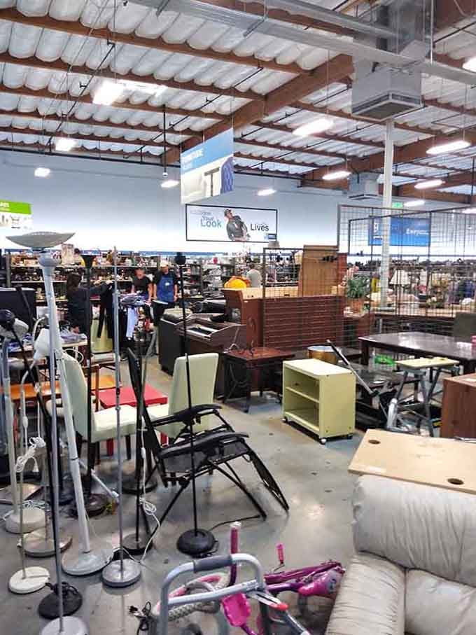 A wonderfully chaotic furniture floor where lamps, chairs, and sofas coexist peacefully, much like a very well-stocked living room showroom.