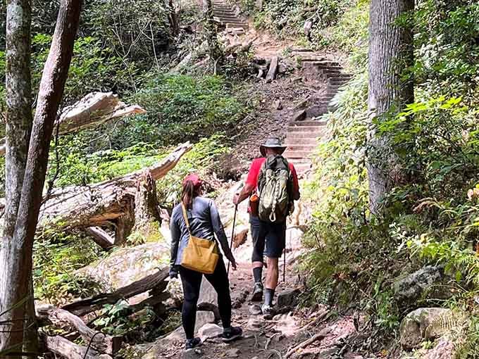 Stone steps carved into the hillside remind you that the best things in life require a little effort.