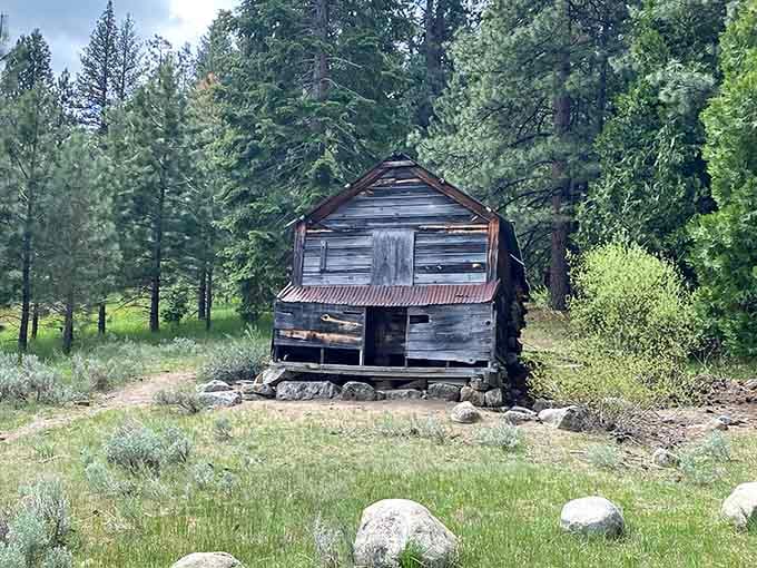 This weathered cabin stands as proof that rustic charm never goes out of style, unlike bell-bottoms.