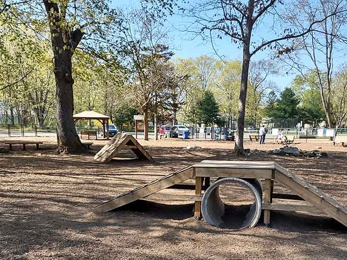 Wooden ramps, tunnels, and agility obstacles &mdash; Nut Plains Park is basically a canine obstacle course where the dogs always win.