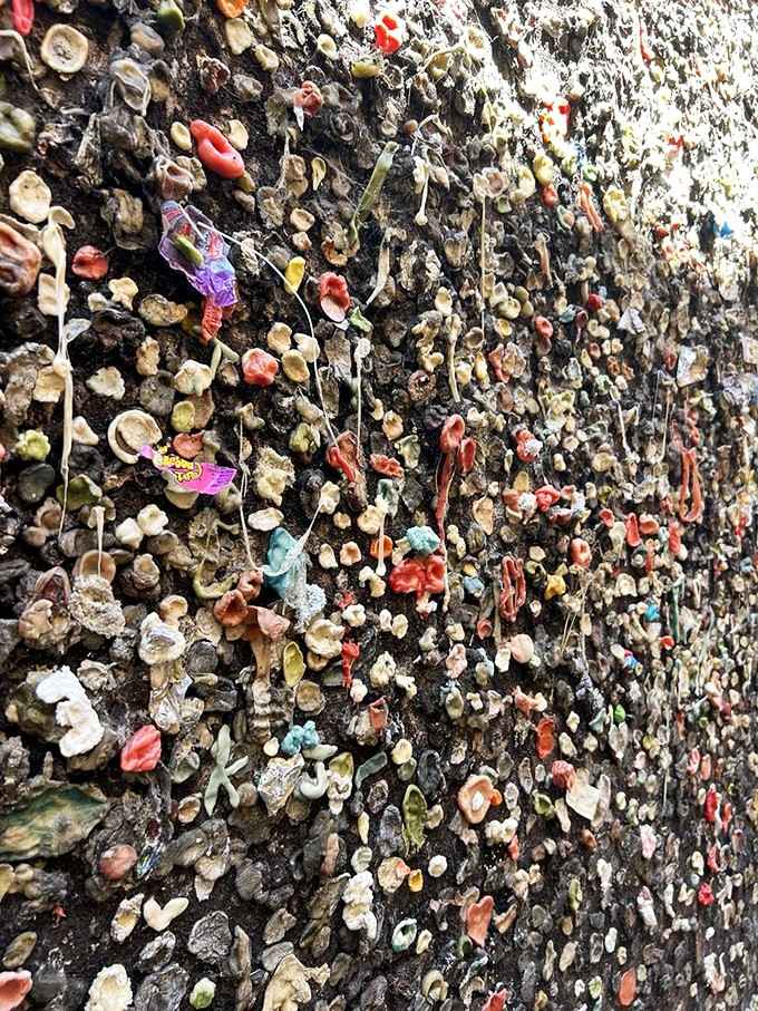 Up close, the texture of this wall looks like a coral reef, except every single piece was chewed by a human being.