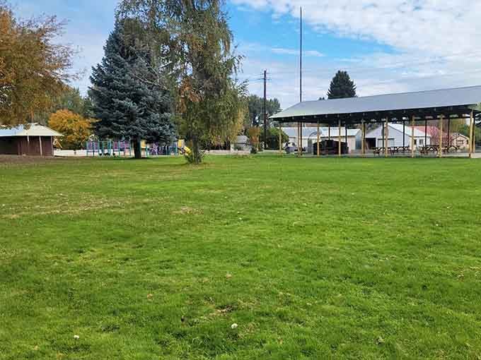 Lush green grass, a covered pavilion, and autumn trees turning gold remind you that the best parks don't charge admission.