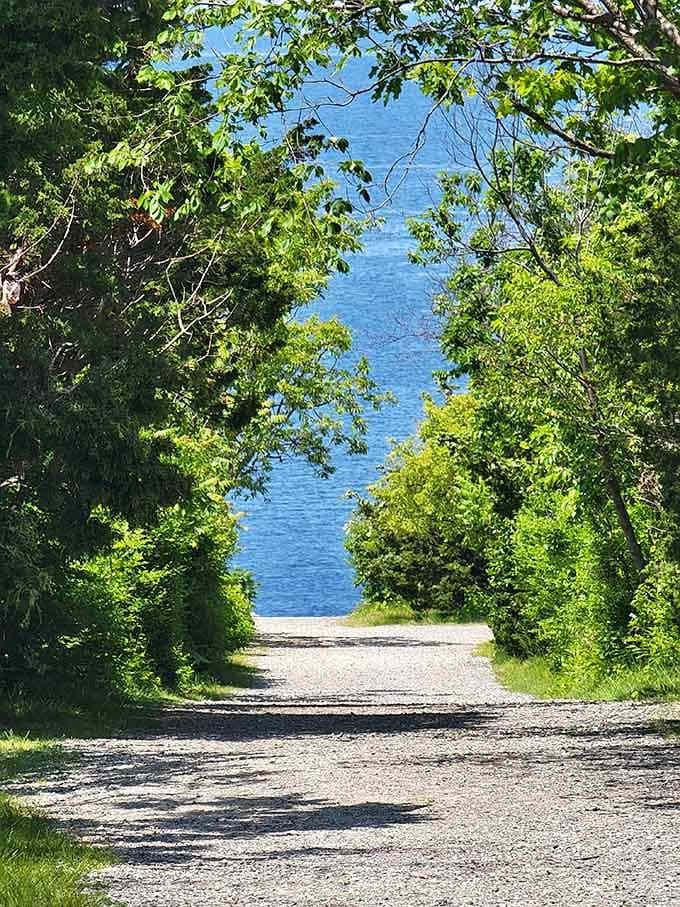Tree-lined paths frame the ocean perfectly, like nature installed its own picture windows for your viewing pleasure.