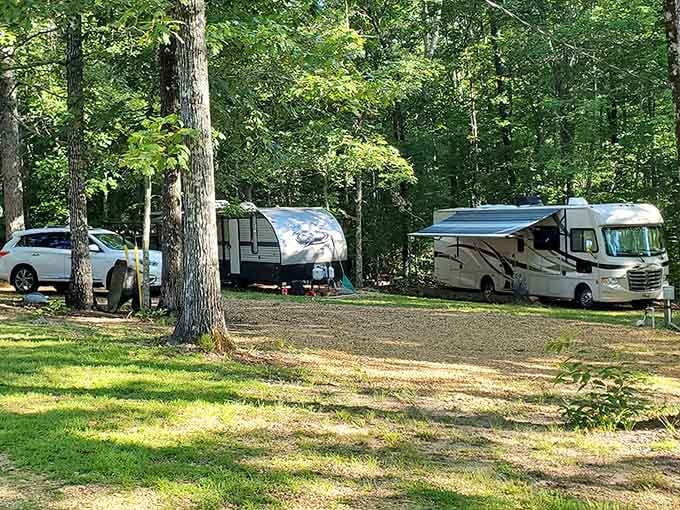 Turkey Hill RV Park tucks campers into the trees like nature planned the whole thing herself.
