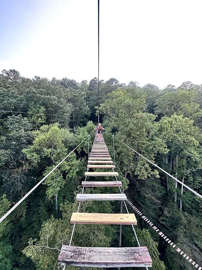 That suspension bridge stretching into the Georgia treetops is not for the faint of heart, folks.