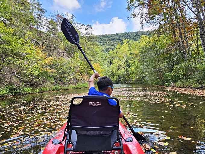 Paddling through leaf-scattered water with green mountains ahead, this is what people mean when they say "go touch some grass."