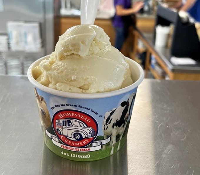 That single scoop of fresh farm ice cream sitting in its little branded cup is basically a masterclass in doing one thing perfectly.
