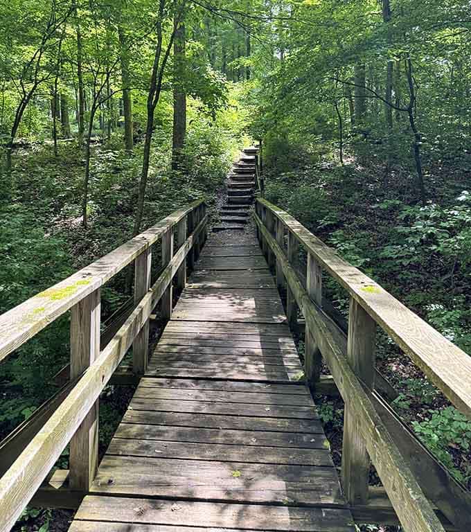 This wooden boardwalk through the old-growth forest is the kind of path that makes your soul exhale.