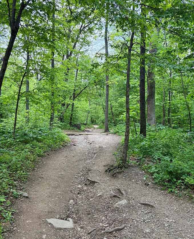 The trail starts friendly enough, luring you in with shade and beauty before revealing its true uphill intentions.