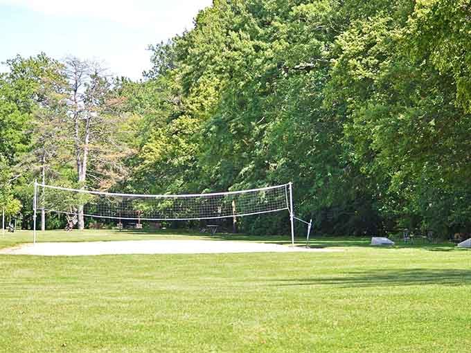 A volleyball court surrounded by trees. Nature's version of a luxury sports club, no membership required.