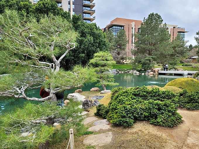 Ancient twisted branches, a glassy green pond, and city buildings peeking through the trees. Two worlds, one gorgeous view.